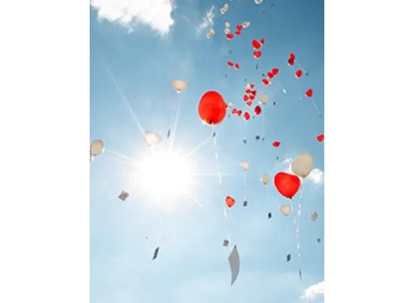 Matthew Reginald Milne Obituary (2025) - Topeka, KS - Bowser-Johnson ...