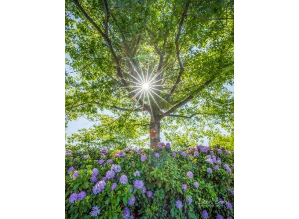 Karen Perrin Obituary (2026) - Ashland, OR - Litwiller-Simonsen Funeral ...