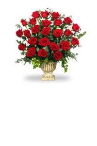Audrey Robinson Obituary and Online Memorial (2026)