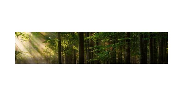 Larry Hooper Obituary (2025) - Savannah, TN - Shackelford Funeral ...