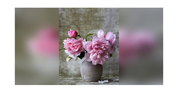 Nancy D. Killen Obituary (2022) - Deer Park, NY - Tuthill-Mangano ...