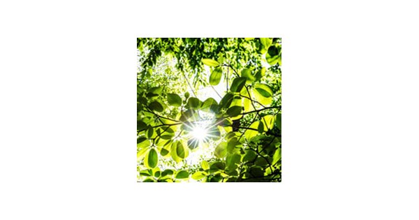 Edward Leroy Stammer Obituary (2024) - Chestertown, MD - Bennie Smith ...