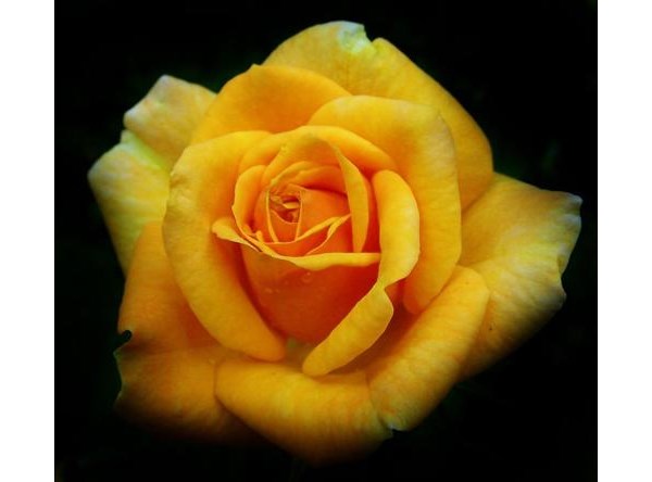 Ms. Nancy A. Maynard Obituary (2026) - San Andreas, CA - San Andreas ...