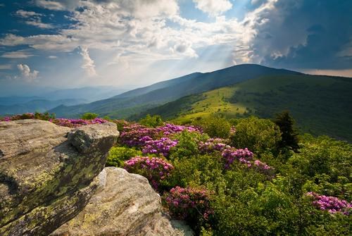 Mark Joseph Nelis Obituary (2023) - Indianapolis, IN - Cremation ...