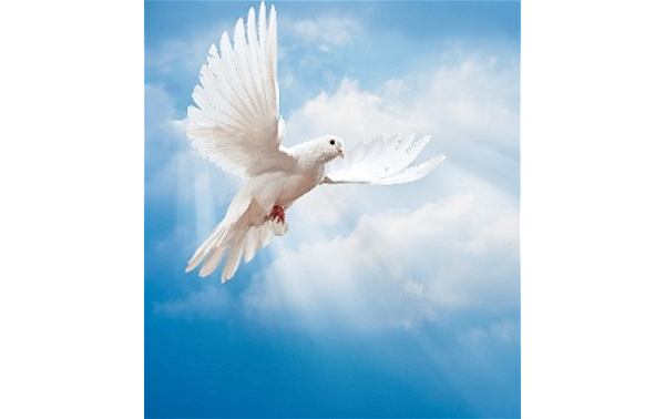 John R. Courter Obituary (2025) - Vineland, NJ - Demarco-Luisi Funeral Home