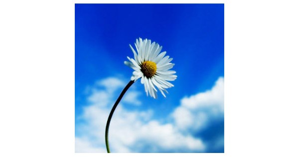 Connie Masullo Obituary (2026) - New York City, NY - Perazzo Funeral Home