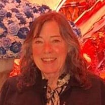 Lynette Marie Scherzer Obituary (2023) - Bay City, MI - Gephart Funeral ...