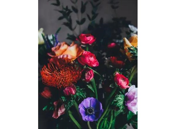 Beth Ann Waters Obituary (2025) - Arcata, CA - Paul's Chapel - Arcata