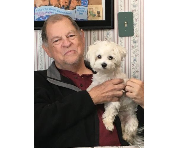 James R. "Jim" Wallace Sr. Obituary (2024) - Greenville, SC - Thomas ...