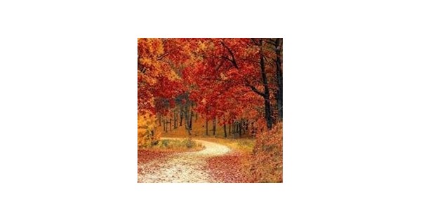 Thomas Melvin "Tom" Seaman Obituary (2025) - Buford, GA - Flanigan ...