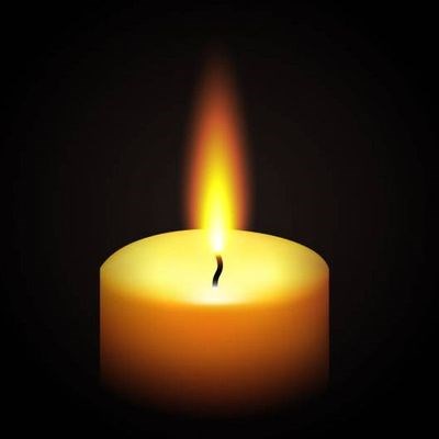 Stephen M. Swicegood Obituary (2025) - Lexington, SC - Thompson Funeral ...