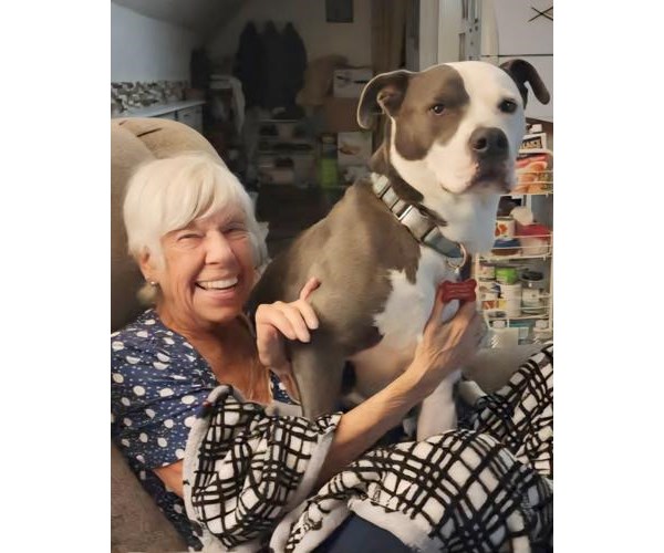 Judy DeRoche Obituary and Online Memorial (2025)
