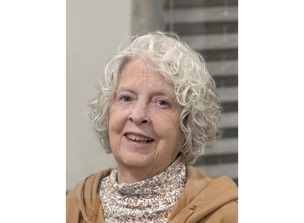 Susan Mary Shaddle Ed.D Obituary (2025) - Yorkville, IL - Nelson ...