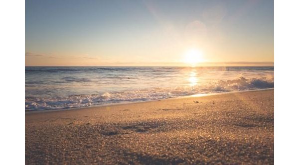 Denise L. Daughtry Obituary (2023) - Louisville, KY - Rodgers-Awkard ...