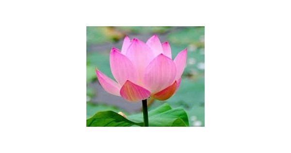 Margaret H. "Meg" Byrnes Obituary (2025) - South Bend, IN - Palmer ...