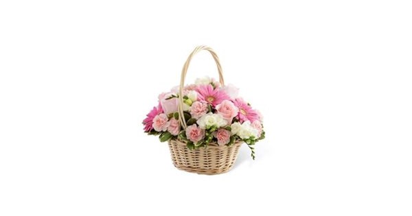 Susan Ann Gray Obituary (2023) - Dalton, GA - Willis Funeral Home
