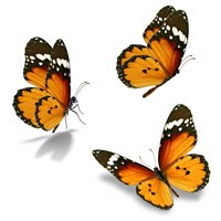 Mary A. Simon Obituary (2026) - Dawson, GA - Albritten's Funeral ...
