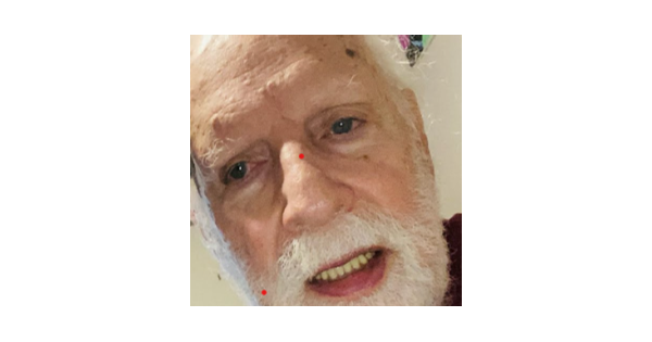 Sheldon S Malkin Obituary (2023) - Merritt Island, FL - Island ...