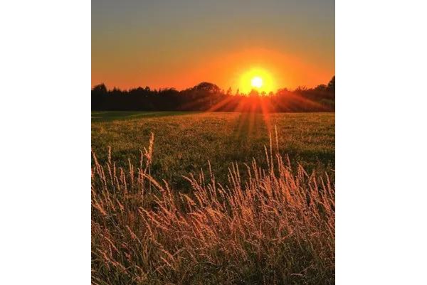 Gary Leon Coffman Obituary (2025) - Visalia, CA - Hadley Marcom Funeral ...
