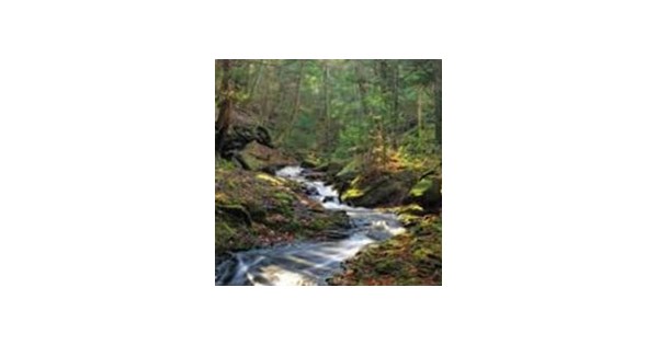 Kenneth W. McKay Obituary (2022) - Kalkaska, MI - Kalkaska Funeral ...