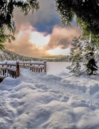 Dana Kramer Obituary (2024) - Ashland, OR - Litwiller-Simonsen Funeral ...