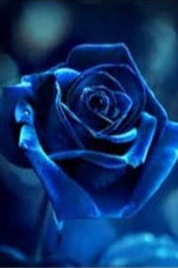 George R. Huntley Obituary (2026) - Durham, NC - Holloway Memorial ...