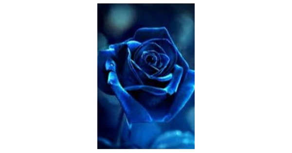 George R. Huntley Obituary (2026) - Durham, NC - Holloway Memorial ...