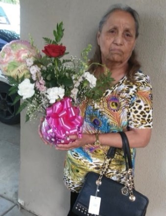 Amelia Salinas Obituary and Online Memorial (2026)