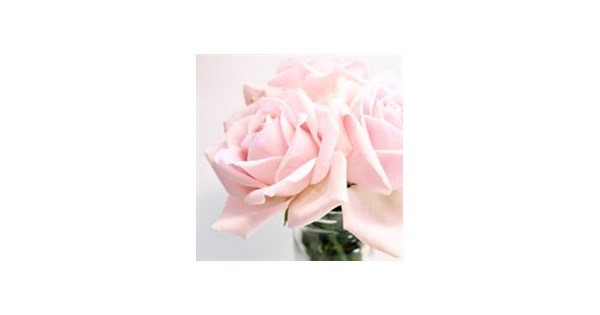 Mrs. Lisa Hambrick Barfoot Obituary (2024) - Scottsboro, AL ...