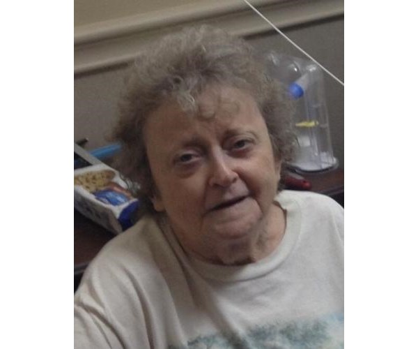 Janice Vinetta Collins Obituary (2025) - Adrian, MI - J. Gilbert Purse ...