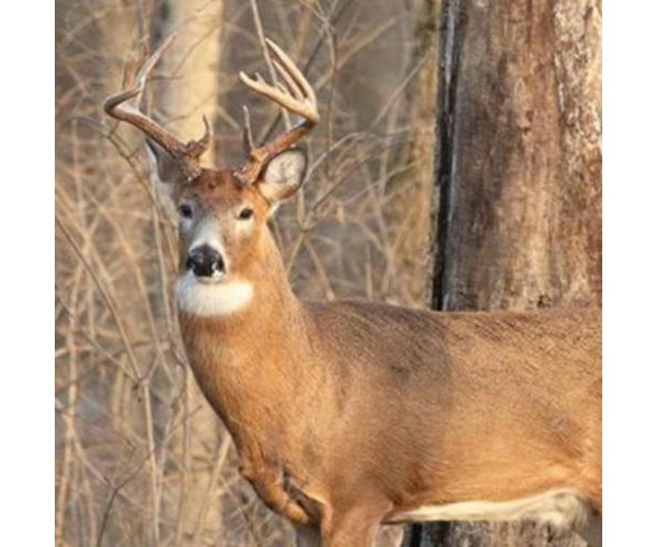 Mr. William "Bryant" Hooks Obituary (2026) - Alexander City, AL ...