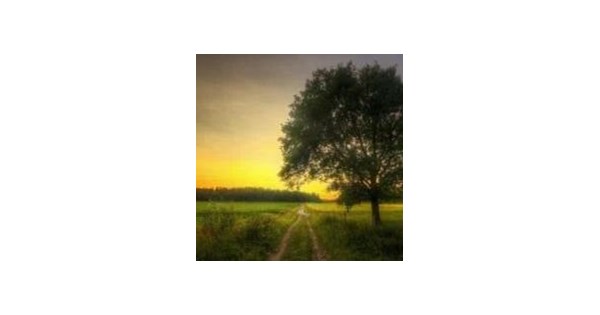 Charlie Smith Ballard Obituary (2026) - Waynesville, MO - Memorial ...
