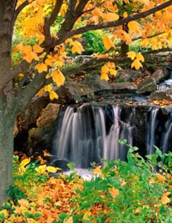 Barbara Ellen Luikart Obituary (2025) - Buffalo, WV - Raynes Funeral ...