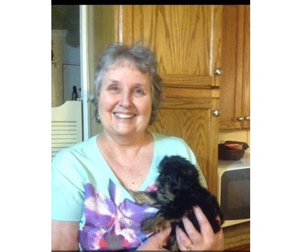 Mrs. Judy Christine Sikes Hudson Obituary (2024) - Apopka, FL - Loomis ...