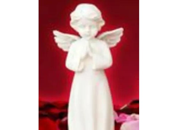 Mateo Contreras Obituary (2025) - Lyndhurst, OH - Schulte & Mahon ...