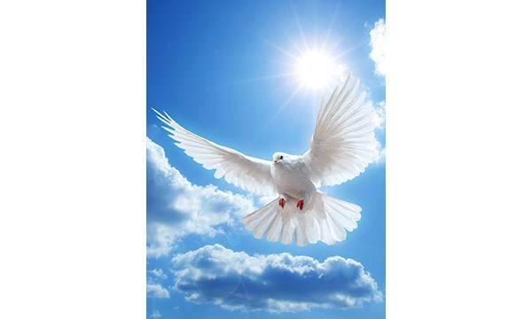 Raymond Lloyd Obituary and Online Memorial (2026)