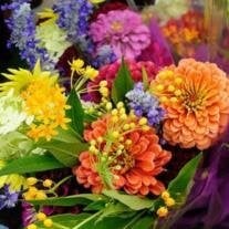 Myrna Louise Randall Obituary (2026) - Corvallis, OR - McHenry Funeral ...