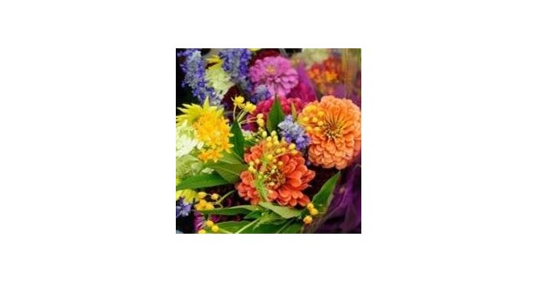 Myrna Louise Randall Obituary (2026) - Corvallis, OR - McHenry Funeral ...