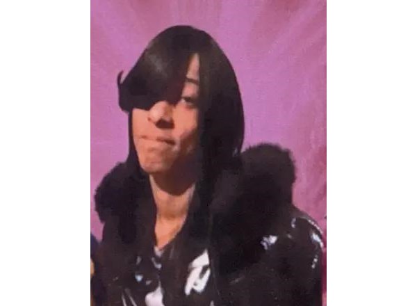 Letitia Marie King Obituary (2025) - Chicago, IL - Andersen Morgan ...