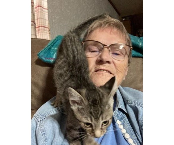 Carol Hicks Obituary and Online Memorial (2024)