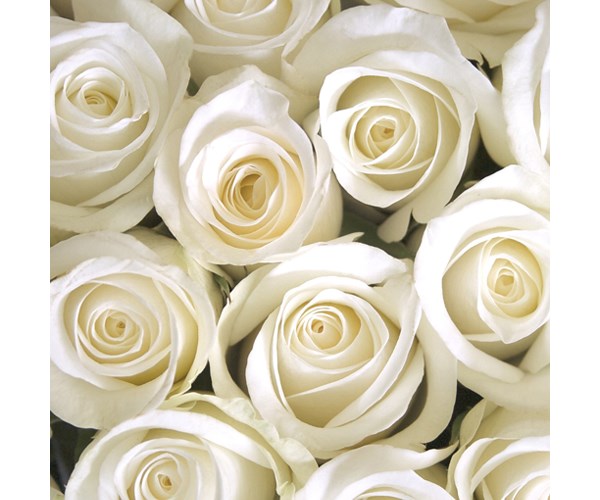 Rosalee Denney Obituary (2026) - Springfield, MO - Greenlawn Funeral ...