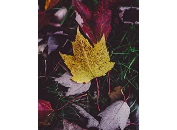 Karla Landrum Obituary (2024) - Bellville, OH - Snyder Funeral Homes ...