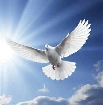 Michael F. Holzman Obituary (2024) - Pompton Plains, NJ - M. John ...