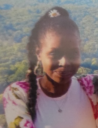 Michaele Brown Obituary (2026) - Philadelphia, PA - Lenwood Jones ...