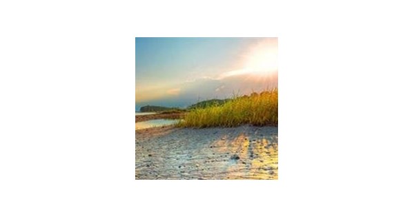 Mr. Raymond A. Howard Obituary (2025) - Kansas City, MO - Lawrence A ...