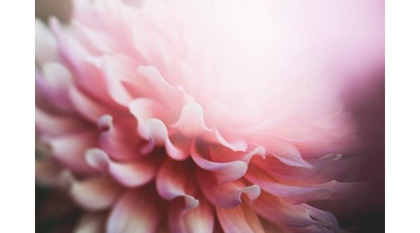 Cathy R. Hamilton Obituary (2025) - Daphne, AL - Hughes Funeral Home ...