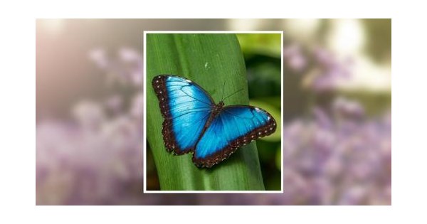 Kathy King Householder Obituary (2026) - Douglasville, GA - Jones-Wynn ...