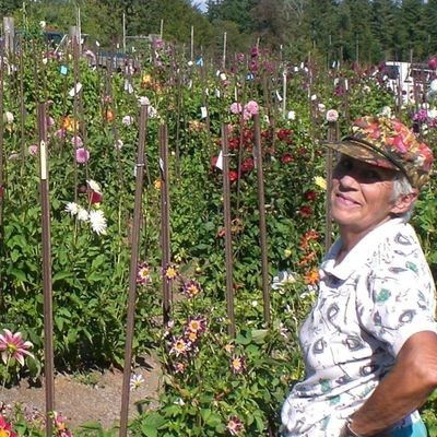 Betty Louise Berndt Obituary (2026) - Olympia, WA - Funeral ...