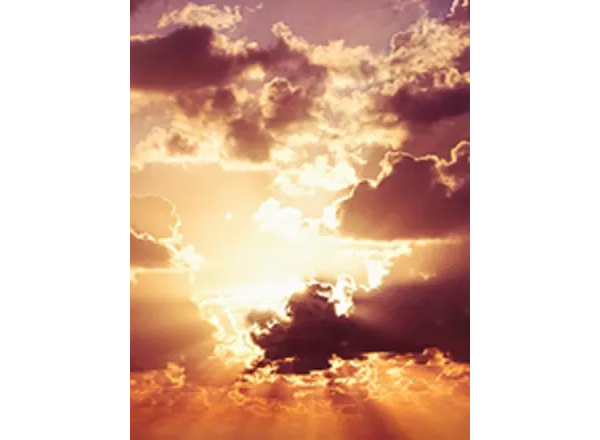 Patricia Sylvester Obituary (1949 - 2026) - Colchester, CT - WFSB
