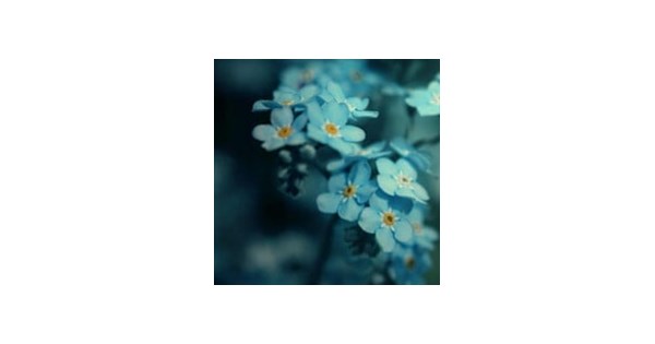 Theresa DeBellis Obituary (2023) - Bridgeville, DE - Parsell Funeral ...